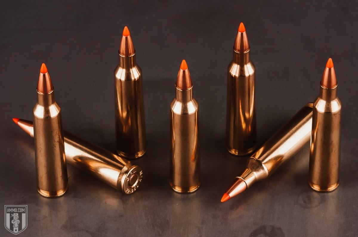 22 250 Vs 223 Hunting Caliber Comparison By Ammo 22 250 Vs 223 Hunting Caliber Comparison By Ammo