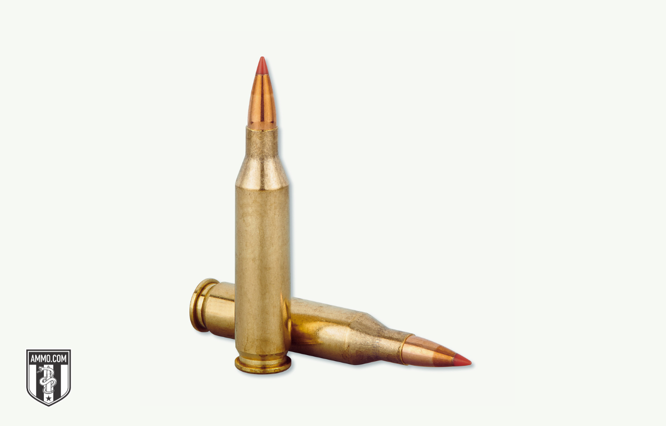 243 Recoil: Is It Good for Recoil-Sensitive Shooters?