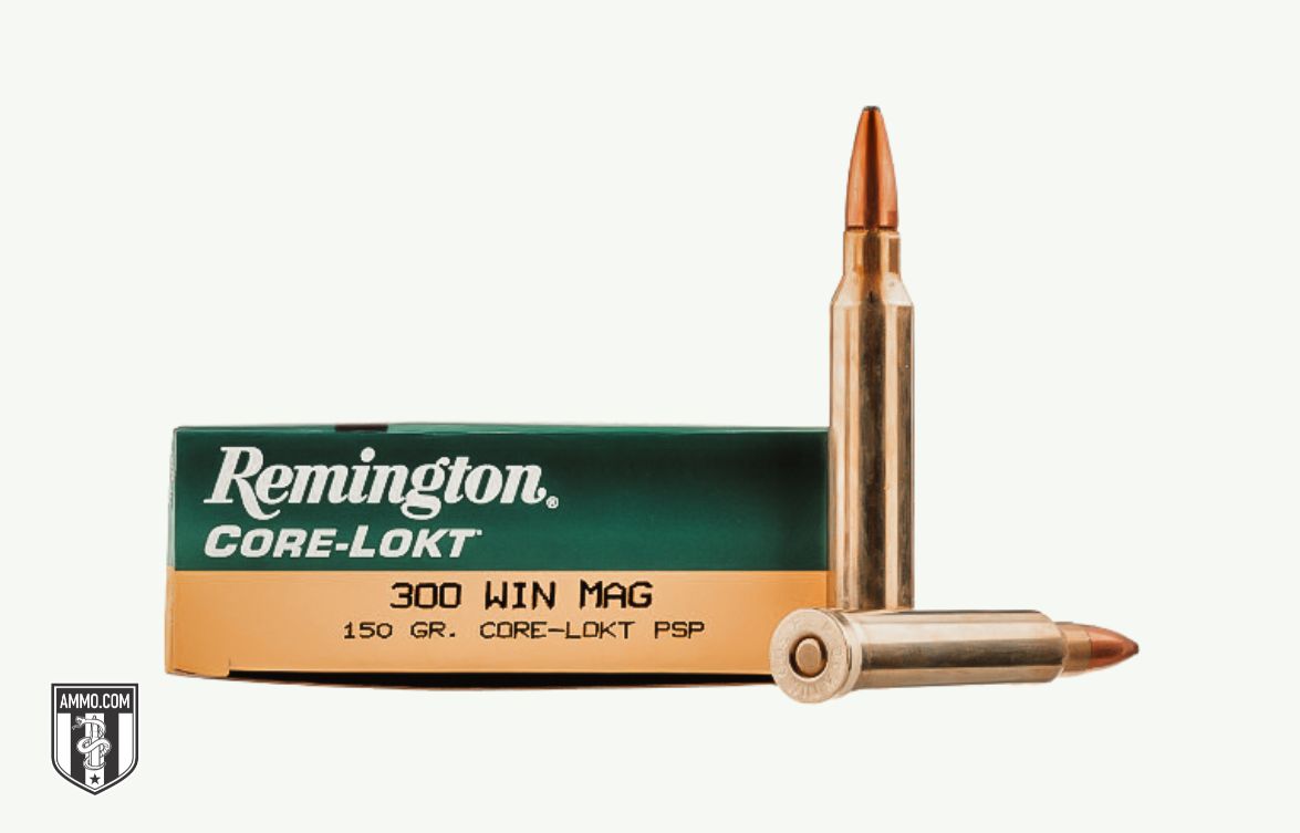 300 Win Mag Recoil: How Hard Does the 300 Winchester Magnum Kick?