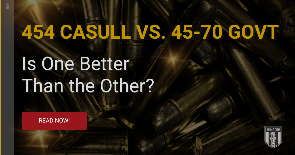 454 Casull vs. 45-70 Govt: 45 Caliber Cartridge Duel