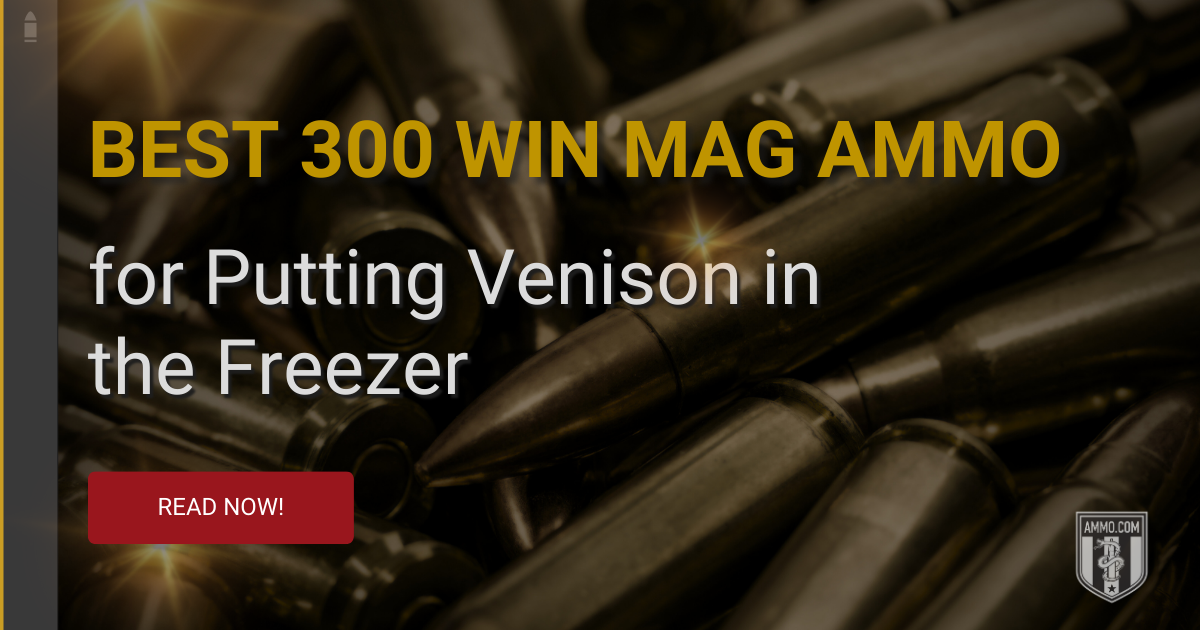 Best 300 Win Mag Ammo for Deer: The Belted Freezer Filler