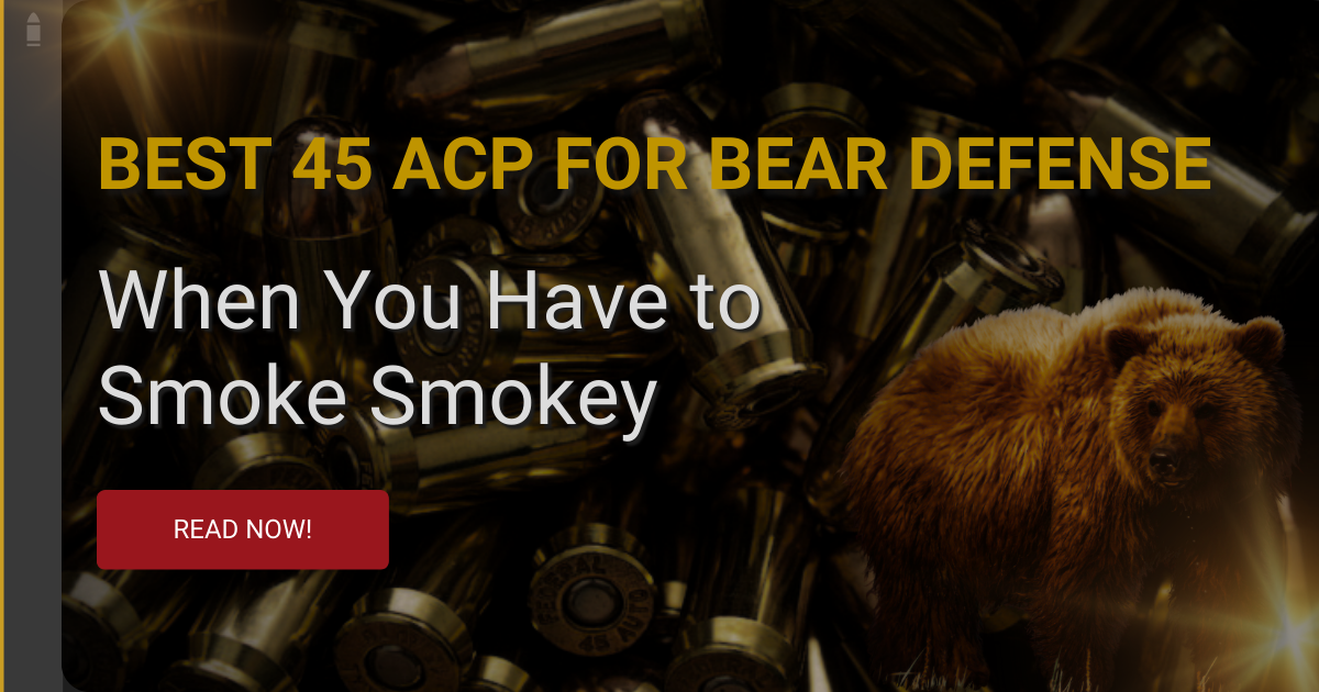 Best 45 ACP for Bear Defense: When You Have to Smoke Smokey