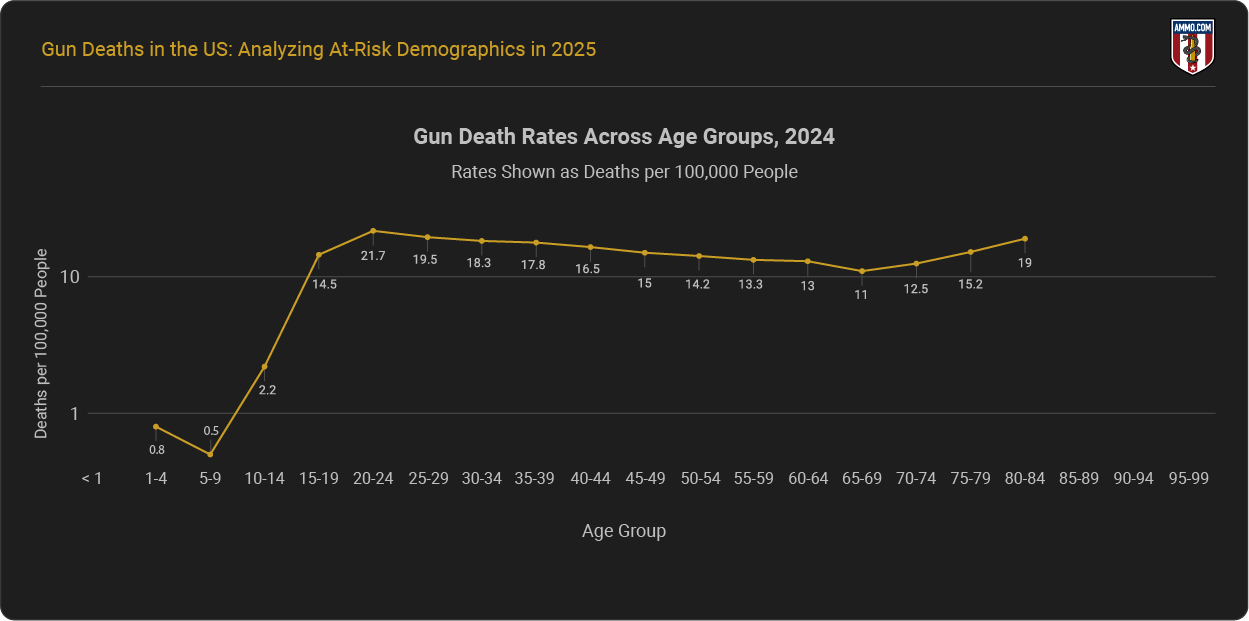 Gun Deaths in the US: Analyzing At-Risk Demographics in 2025