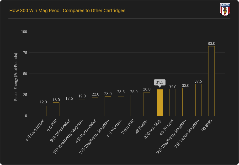 300 Win Mag Recoil: How Hard Does the 300 Winchester Magnum Kick?