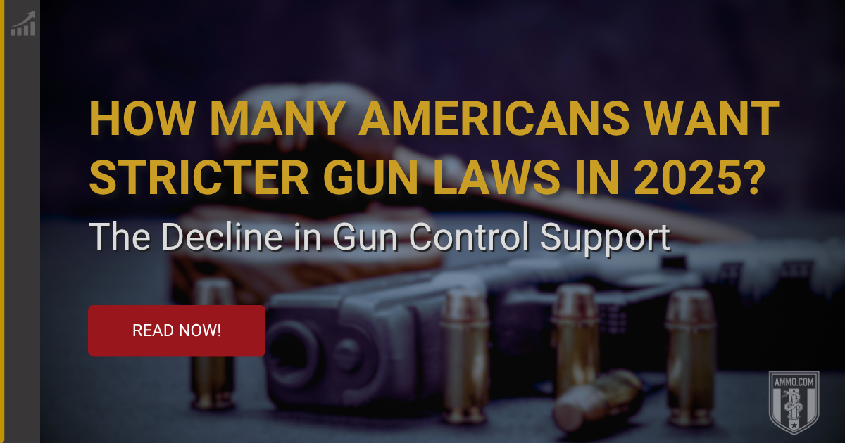How Many Americans Want Stricter Gun Laws in 2025? The Decline in Gun ...
