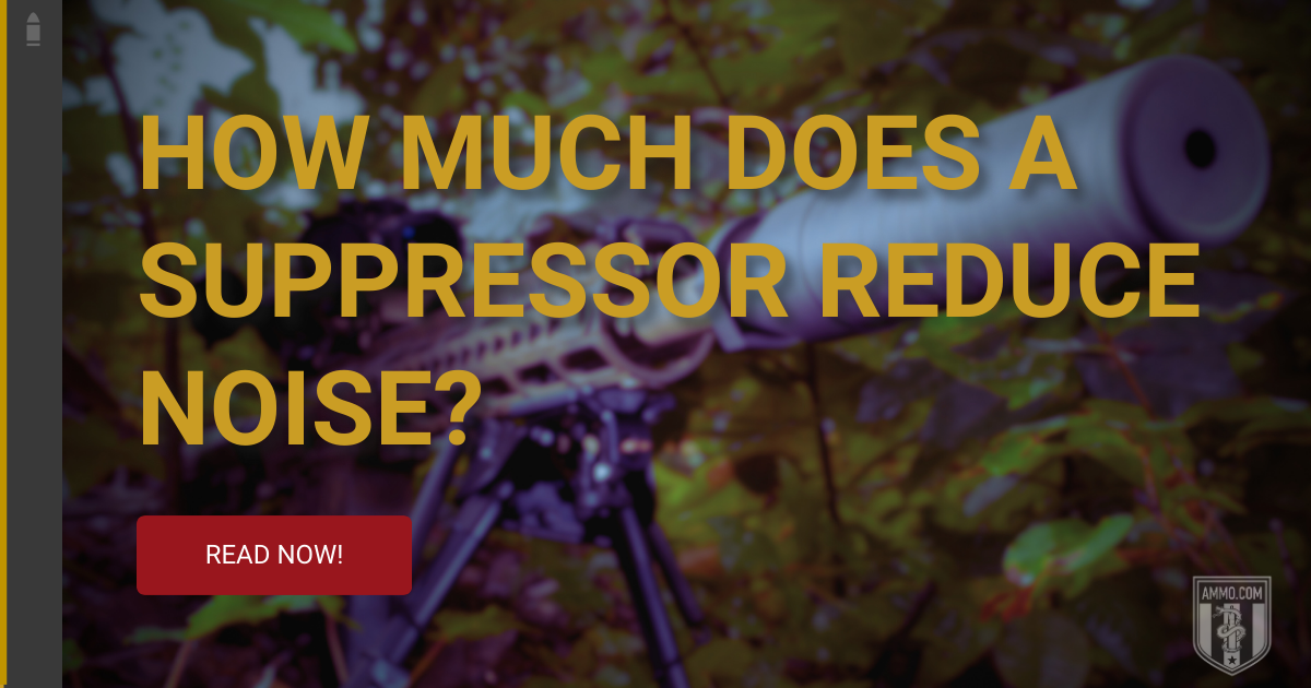 How Much Does a Suppressor Reduce Noise: A 2025 Analysis