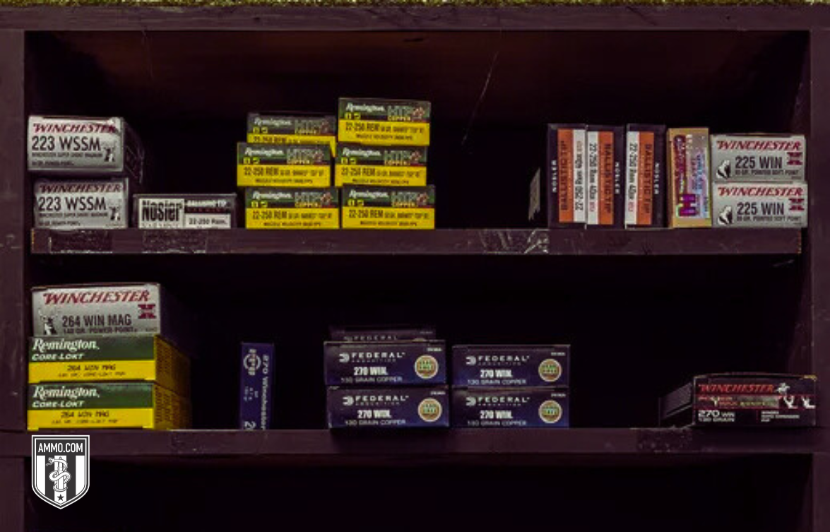 How Much Ammo Should I Have? Covering All Your Ammo Needs