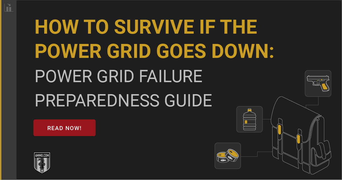 How to Survive If the Power Grid Goes Down: Survival Guide
