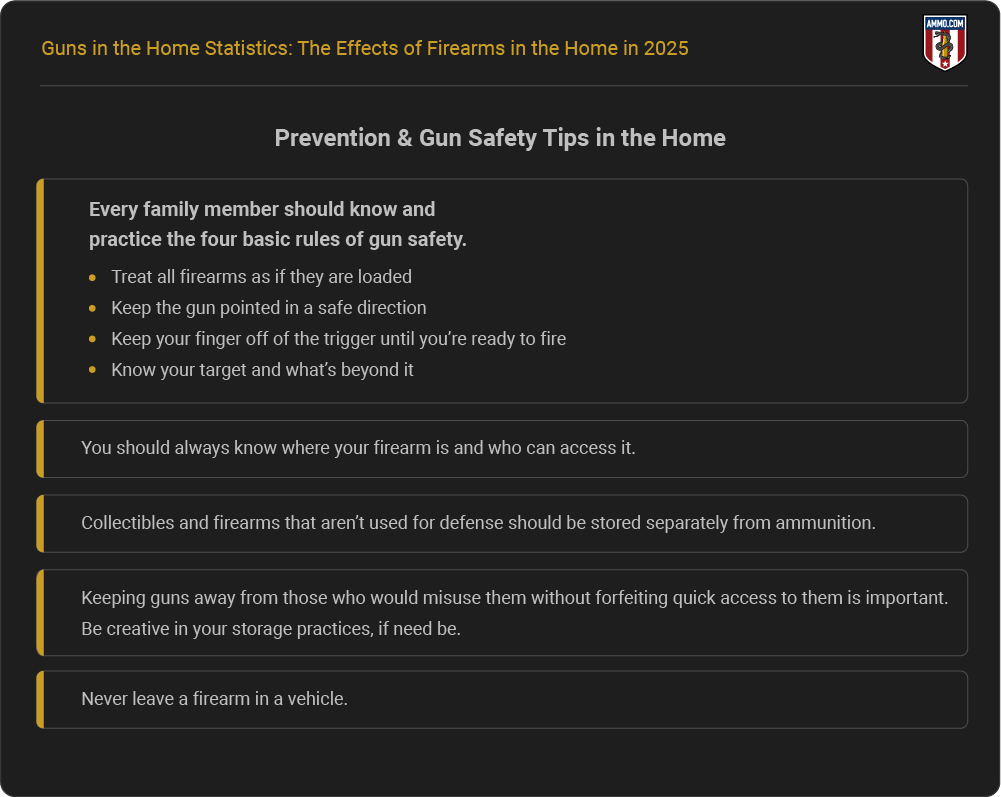 Guns in the Home: 2025 Statistics