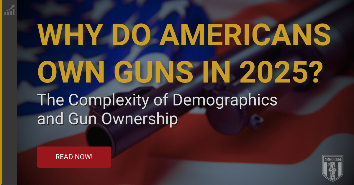 Why Do Americans Own Guns in 2025? The Complexity of Demographics and ...