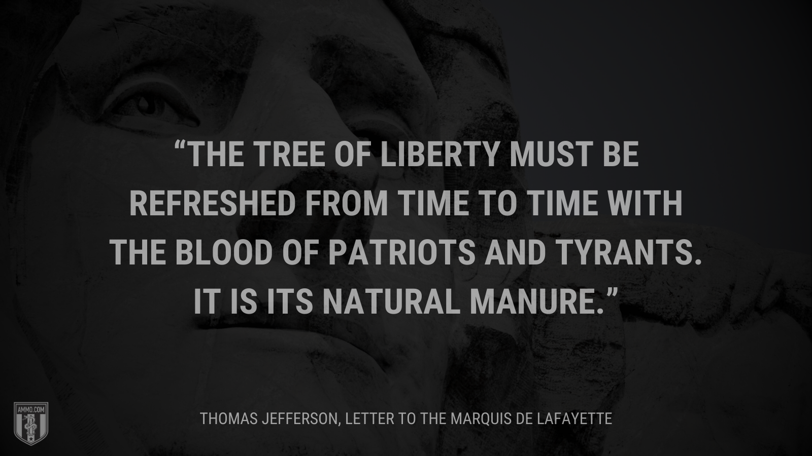 Founding Fathers Quotes on Liberty and Freedom in America