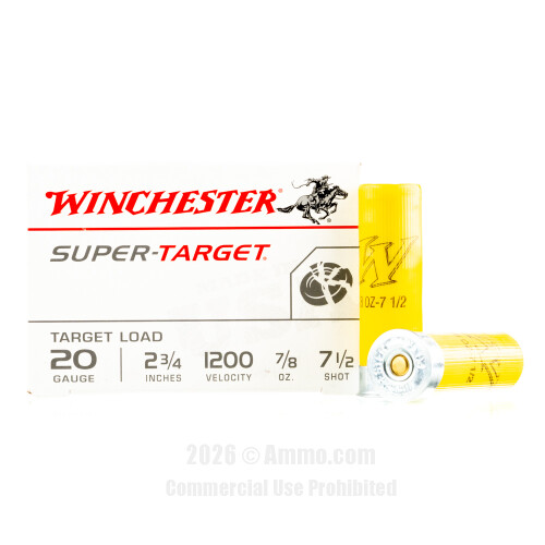 20 Gauge Shotgun Shells (Cheapest 20 Ga. Ammo)