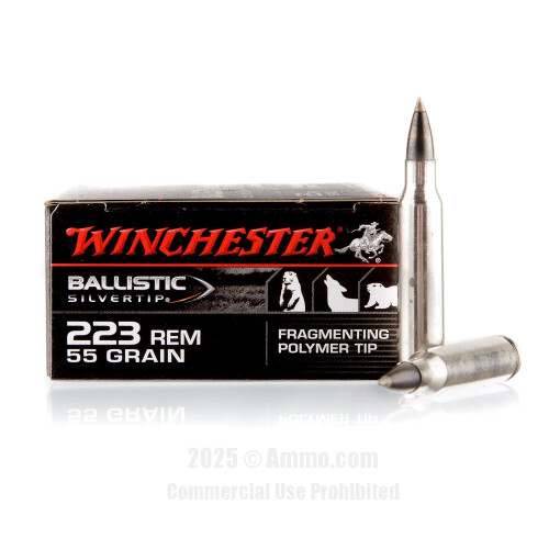 Winchester Ballistic Silvertip Ammo (Best Prices Online)