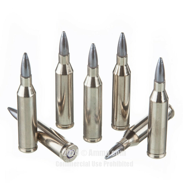 The Best 243 Ammo for Target Shooting Recommended by Experts