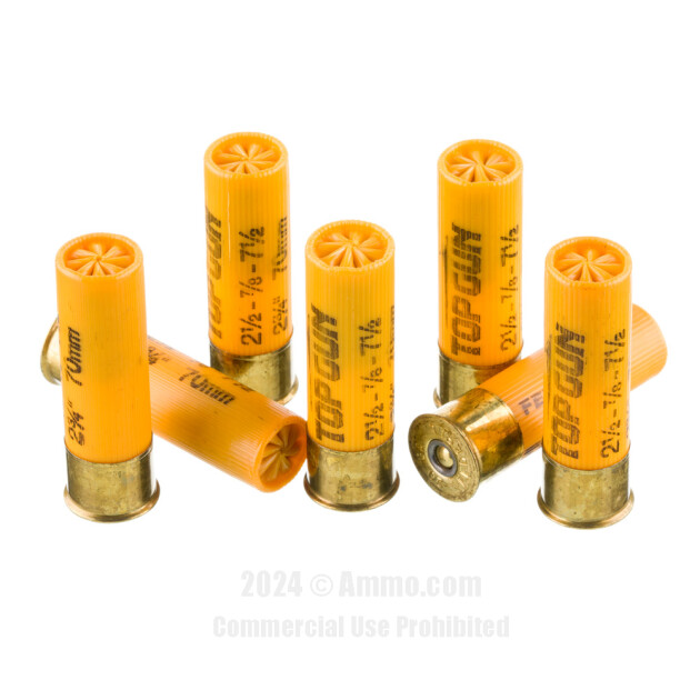 20 Gauge Ammo at Ammo.com: Cheap 20 Ga. Ammo in Bulk
