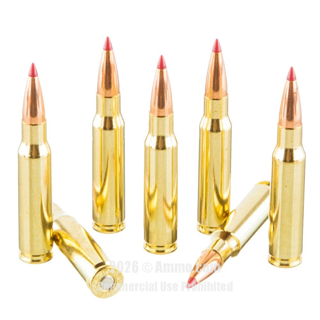 9 Best Cartridges for Elk Hunting [Updated 2025]