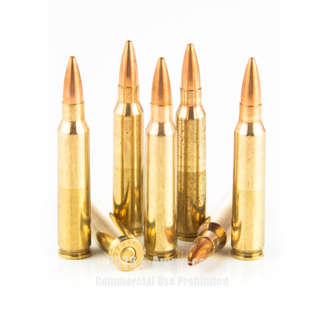 PMC 223 Ammo For Sale (In Stock Now)