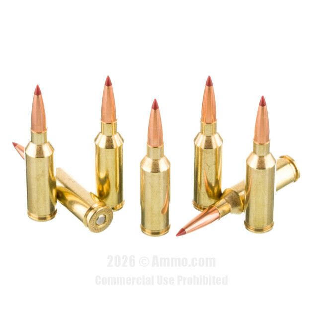 22 ARC vs. 6mm ARC: What’s the ARC For You?