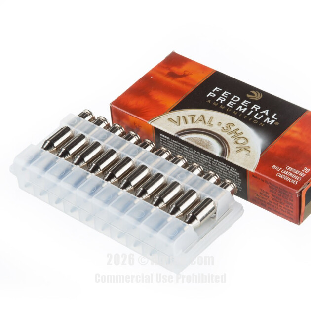 The Best 243 Ammo for Target Shooting Recommended by Experts