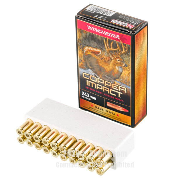 Best 243 Ammo for Deer Hunting: Drop A Big Buck This Deer Season
