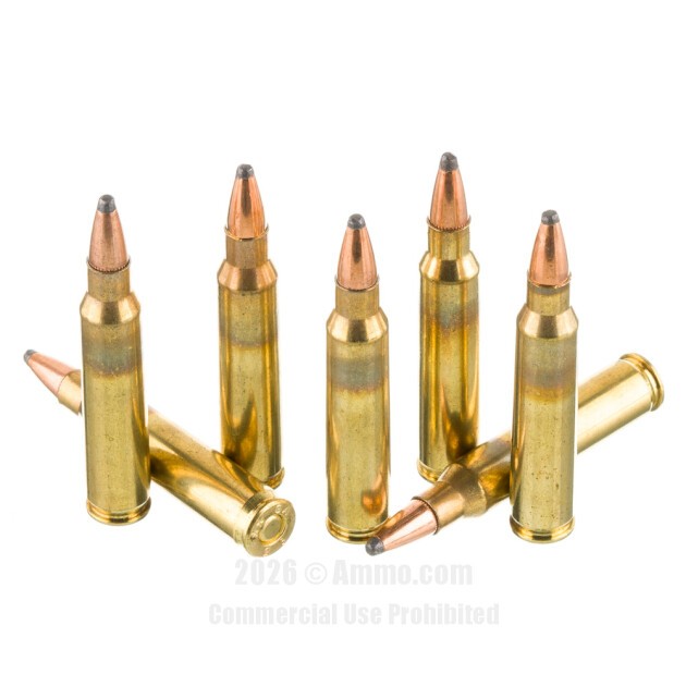 Best .223 Ammo for Deer Hunting (Ethical & Effective)