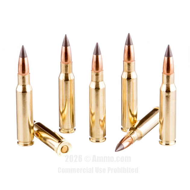 308 winchester ammo types