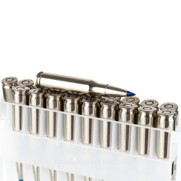 10 Best Long-Range Hunting Bullets: Bagging Big Game Way Downrange