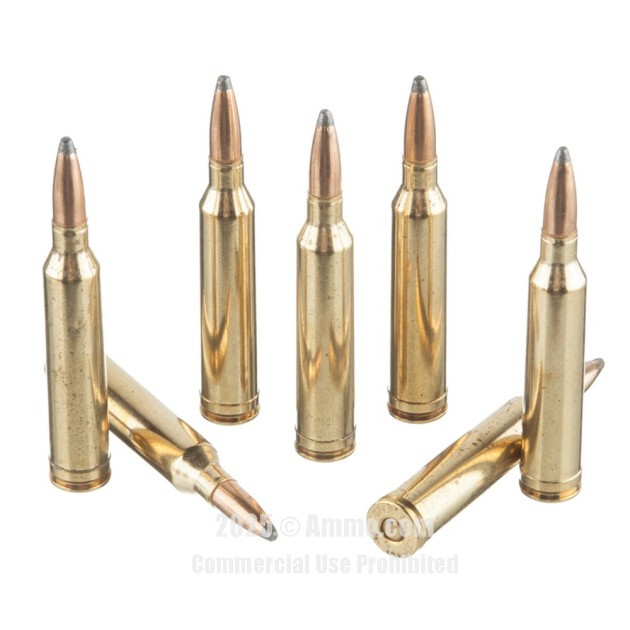 Best Moose Cartridges Chosen by Experts at Ammo.com