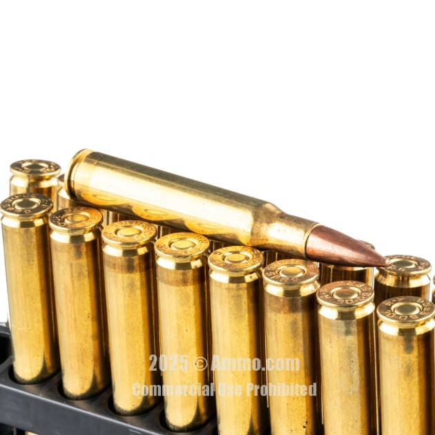 30-06 Ammo For Sale (Buy 30.06 Bullets At Best Prices)