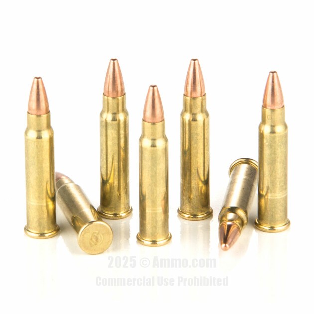 The Best 17 HMR Ammo Chosen by Experts at Ammo.com