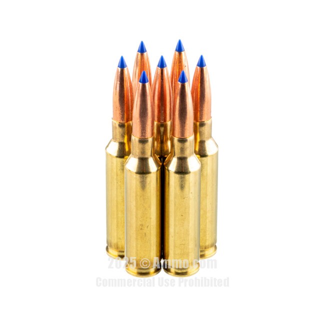 Best 6.5 Creedmoor Hunting Ammo: A Comprehensive Guide