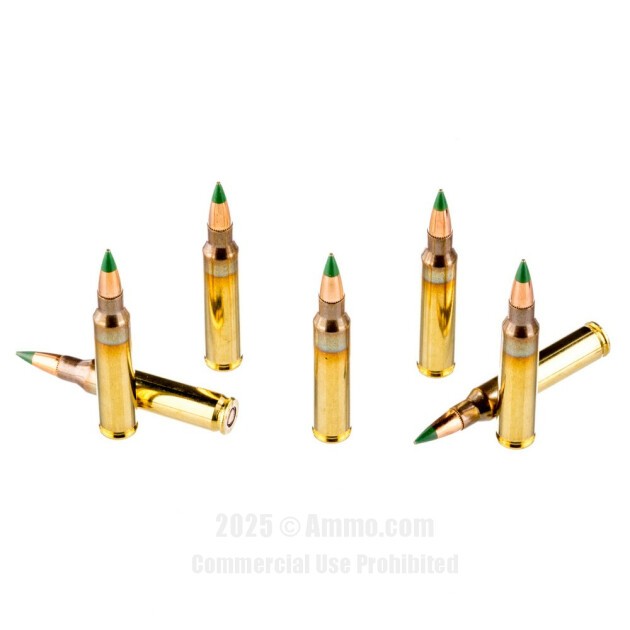 PMC 5.56 Ammo (In Stock Now at Bulk Prices)