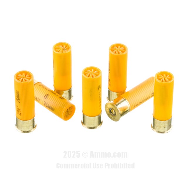 20 Gauge Shotgun Shells (Cheapest 20 Ga. Ammo)