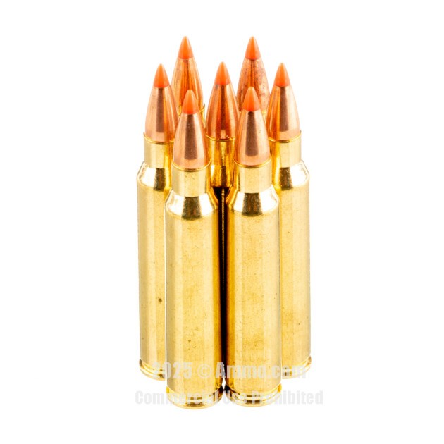 Best 223 Ammo Chosen by the Experts at Ammo.com