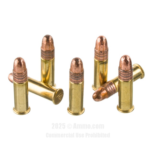 Best 22 LR Ammo Chosen by Experts
