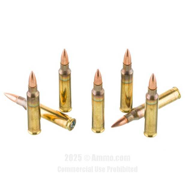 Shop Federal 5.56 Ammo (In Stock Now) - At Ammo.com