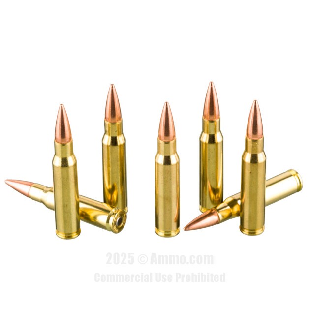 Bulk 308 Ammo (Shop 500 and 1000 Round 308 Deals)