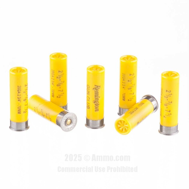 20 Gauge Shotgun Shells (Cheapest 20 Ga. Ammo)