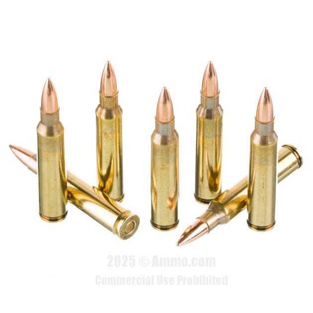 Buy Fiocchi 223 Ammo (Low Prices & Fast Shipping)