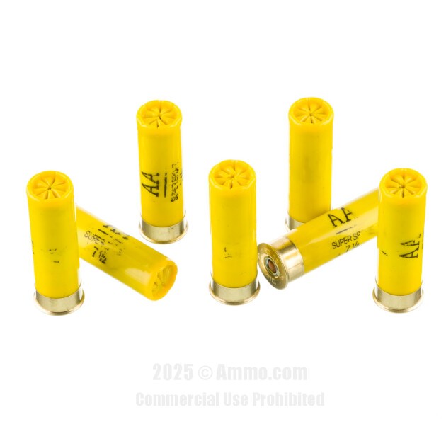 20 Gauge Shotgun Shells (Cheapest 20 Ga. Ammo)