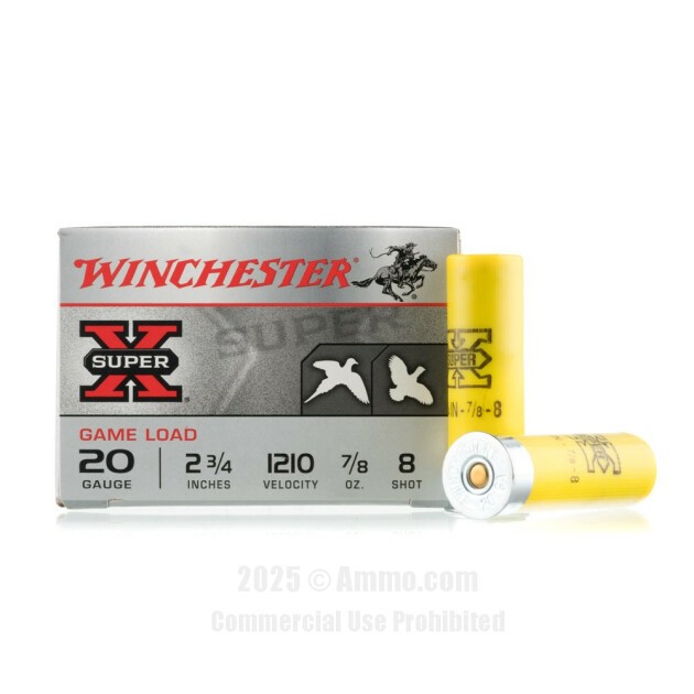 Buy #8 Shot Shotgun Shells Online (12 & 20 Gauge)