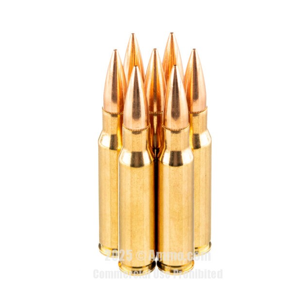 Top 10 Best Sniper Rifle Cartridges for When You Need to Make the Shot