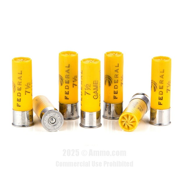 Best 20 Gauge Ammo Recommended by Experts at Ammo.com