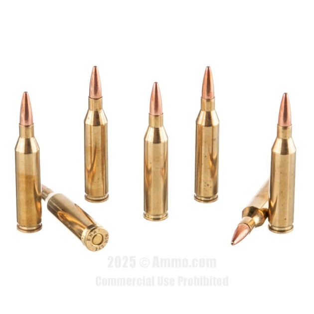 Best 243 Ammo for Deer Hunting: Drop A Big Buck This Deer Season