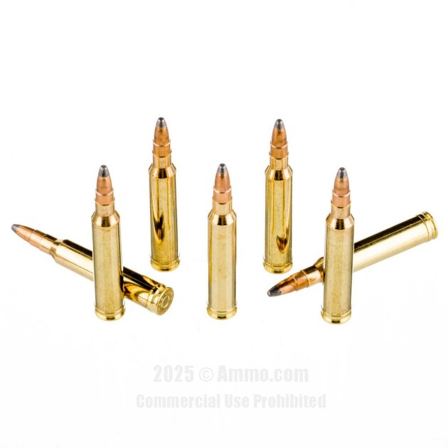 The Best 300 Win Mag Ammo For Elk Hunting