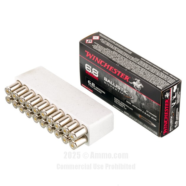 Winchester Ballistic Silvertip Ammo (Best Prices Online)