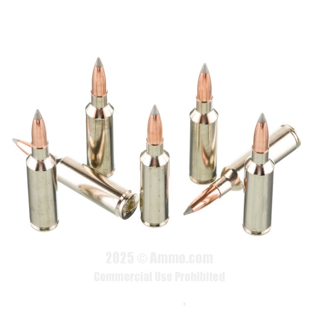 Winchester Ballistic Silvertip Ammo (Best Prices Online)