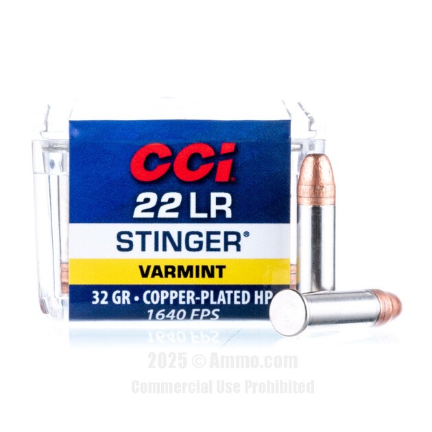 Best .22 LR for Self-Defense Recommended by Ammo.com