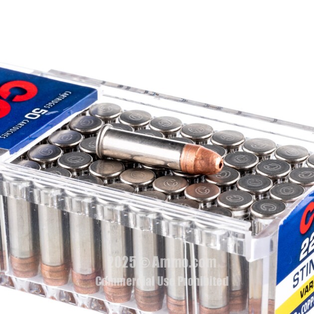 Best .22 LR for Self-Defense Recommended by Ammo.com