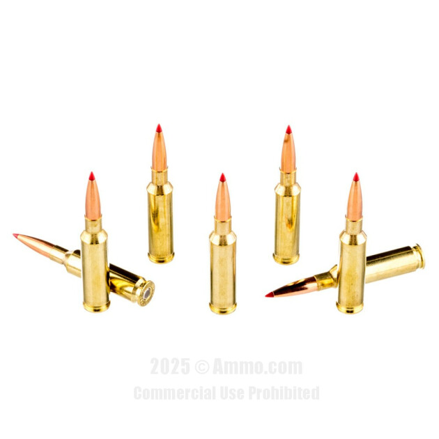 Best Sniper Ammo To Make Every Shot Count (Long Range Shooting)